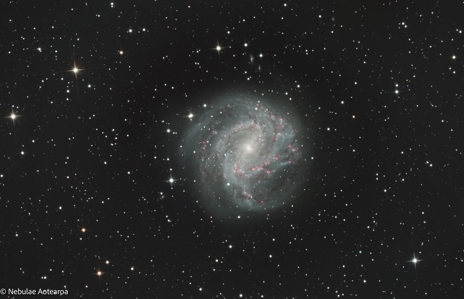 M83 – Southern Pinwheel Galaxy – Nebulae Aotearoa