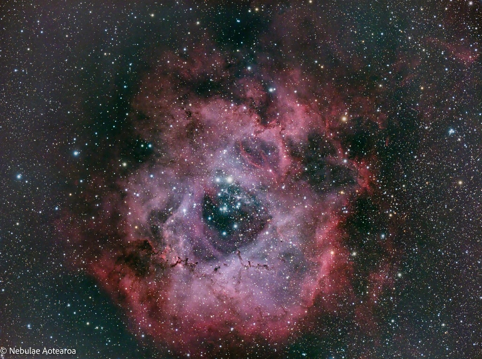 NGC2244 Rosette Nebula – Nebulae Aotearoa